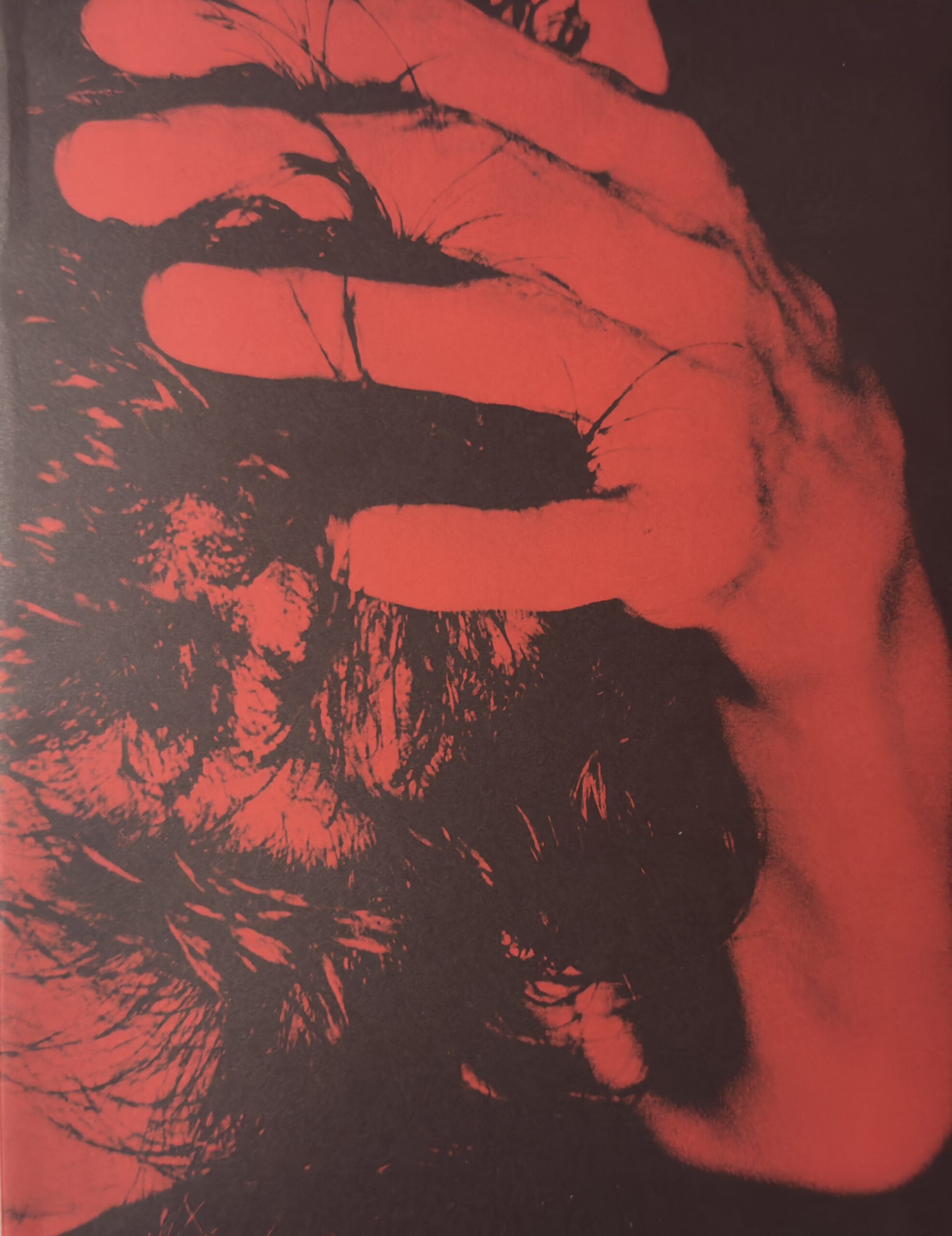 Flashpoint! Protest Photography in Print, 1950-Present – Leporello